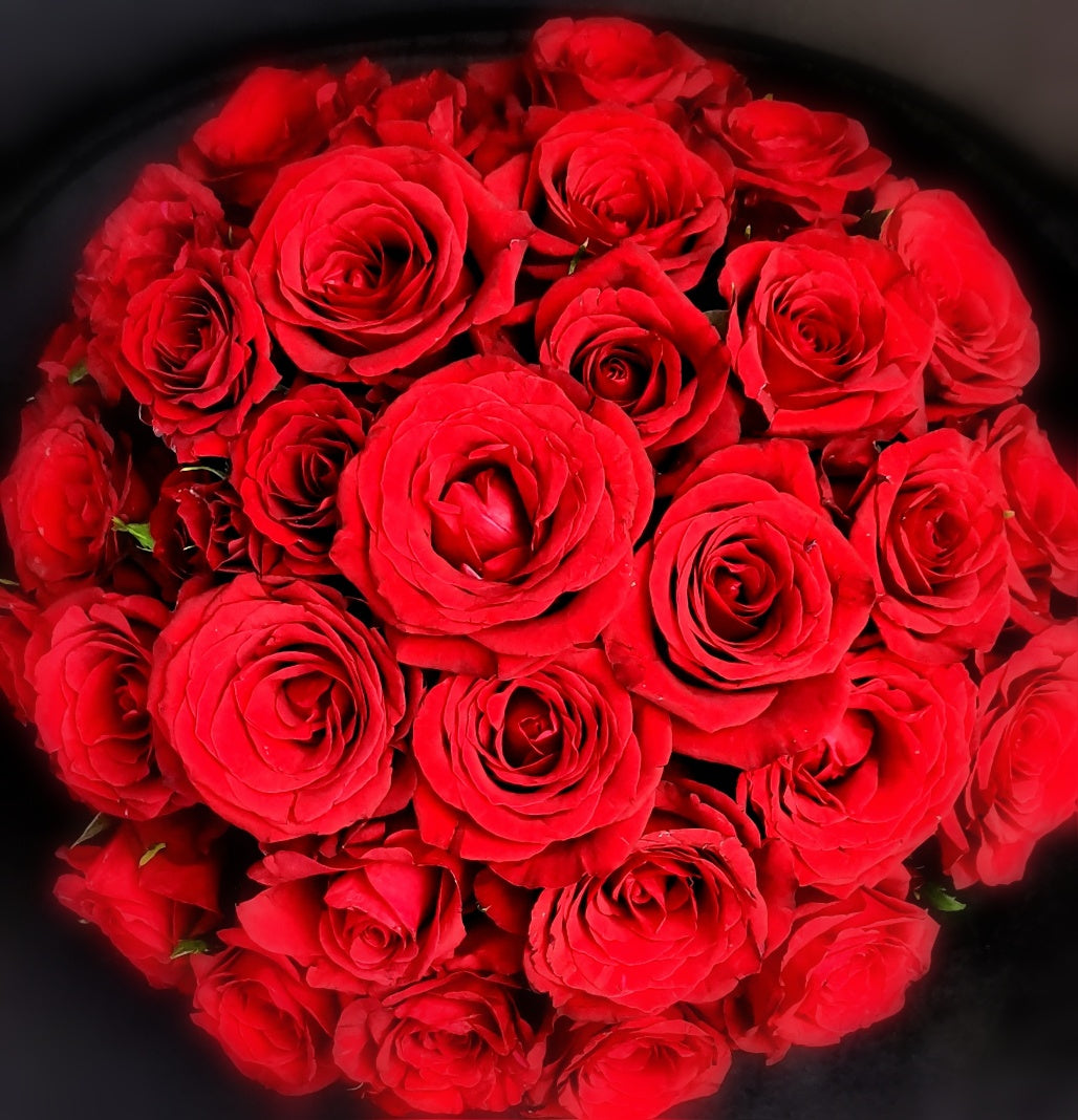 Collections – Caar'i Flora Group