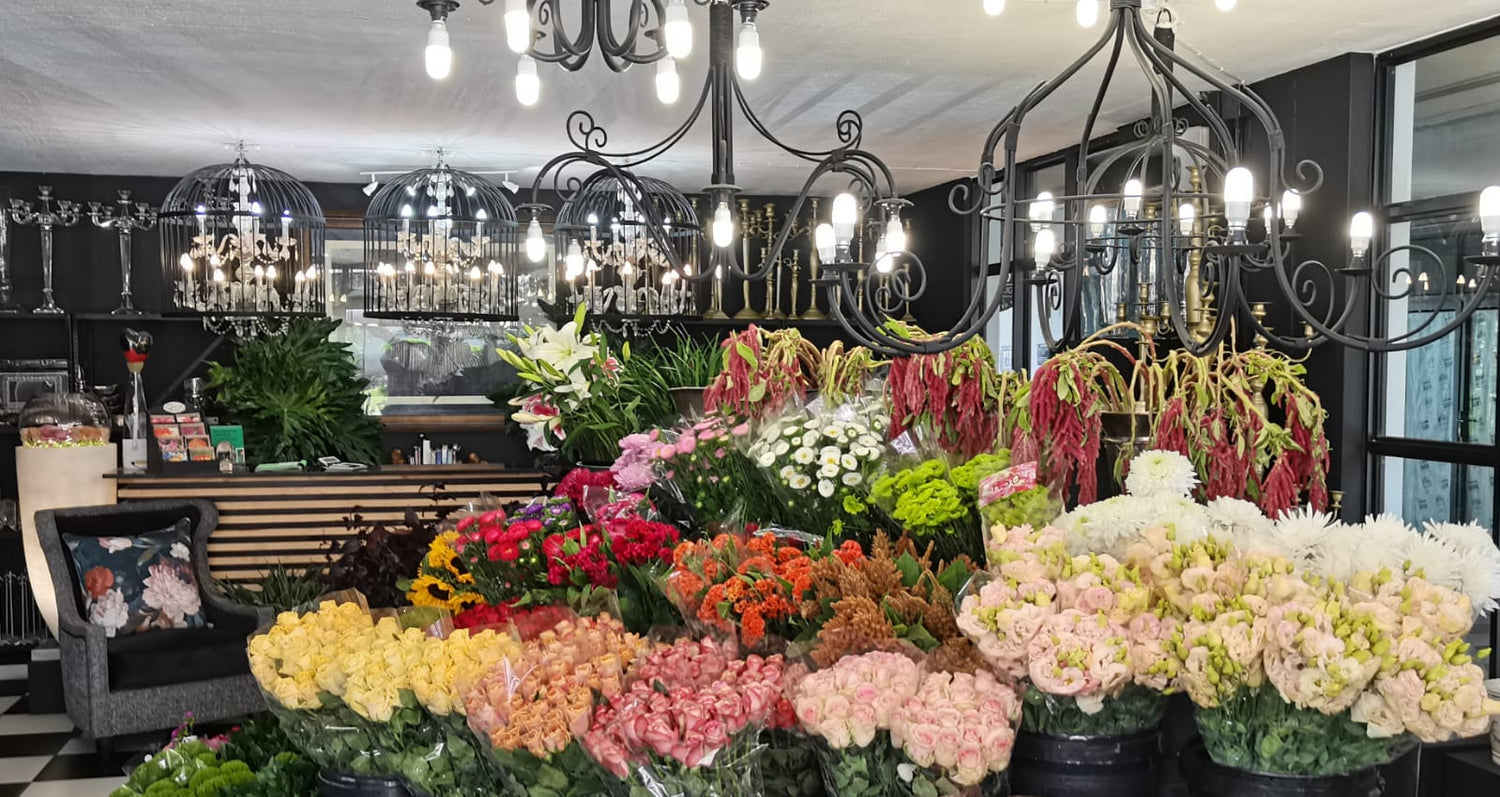 About Caar’i Flora | Pretoria’s Award-Winning Floral Designers – Caar'i ...